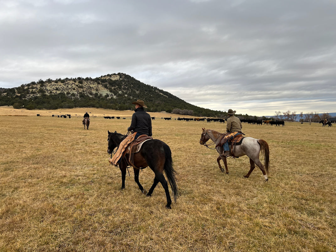 Contact – Bar J Ranch